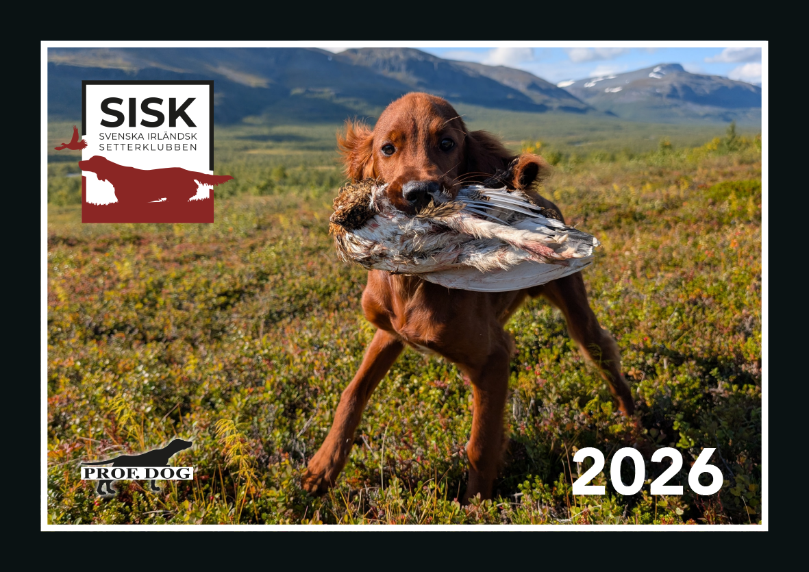 SISK kalender 2026 – Klubb & Fritid